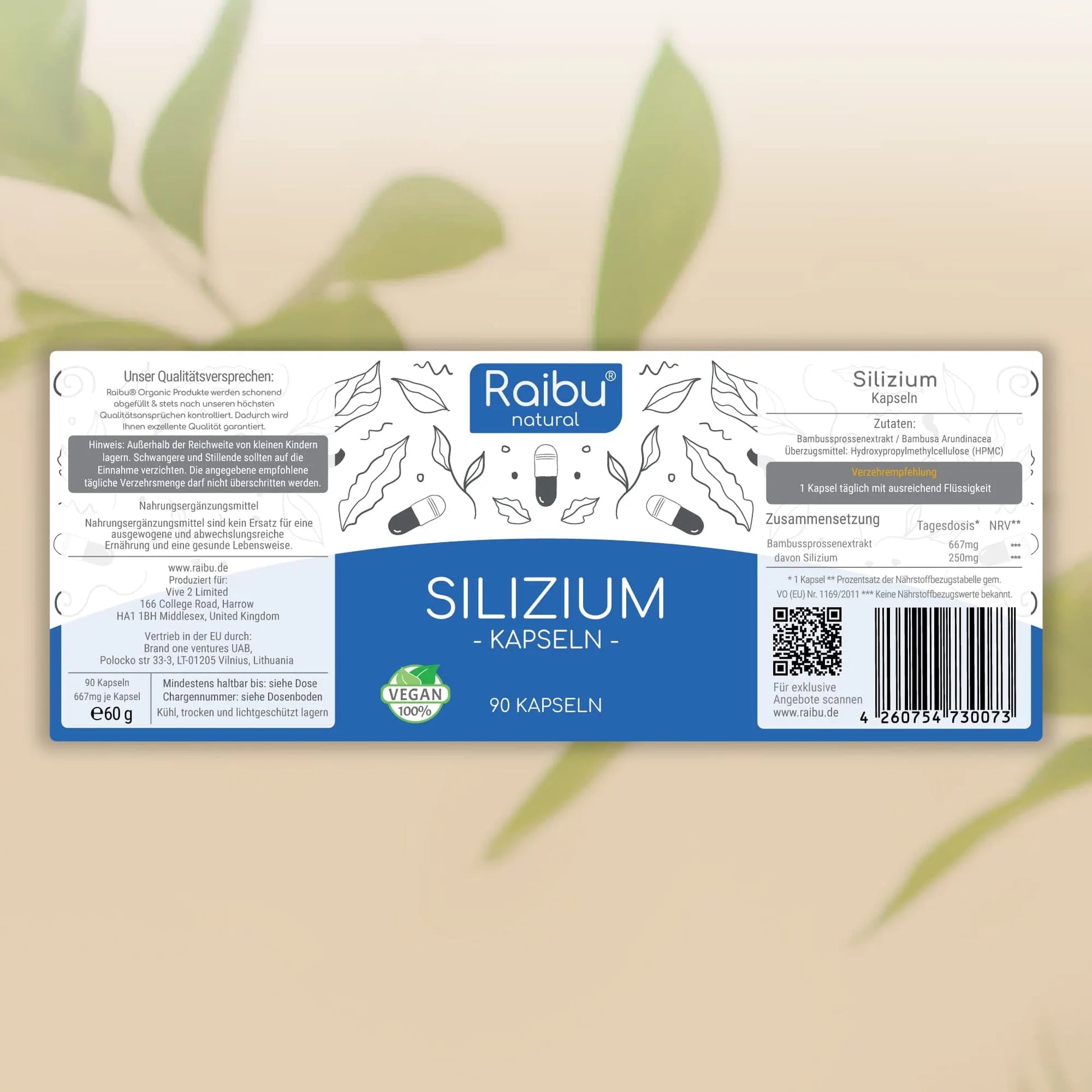 90 Silizium Kapseln aus Bambusextrakt | Hochdosiert von Raibu Natural